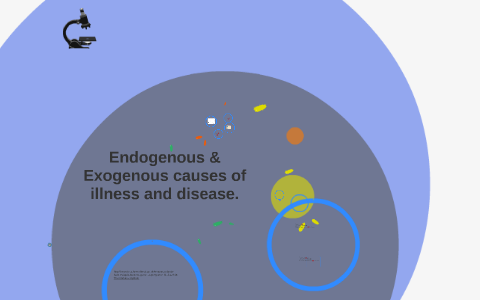 Endogenous & Exogenous Causes of Illness & Disease by Beverley Earley ...