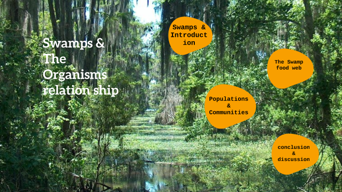Organism Relationship-Swamps by Angel Martinez on Prezi