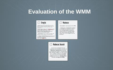 Evaluation of the Working Memory Model by Anoshamisa G on Prezi