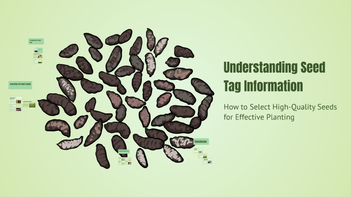 Understanding Seed Tag Information by Brynn Weavers on Prezi