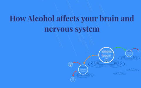 How Alcohol affects your brain and nervous system by Sara Zenelaj on Prezi