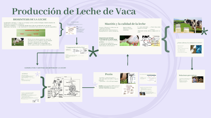 Producción de Leche de Vaca by Daniela Caiza on Prezi