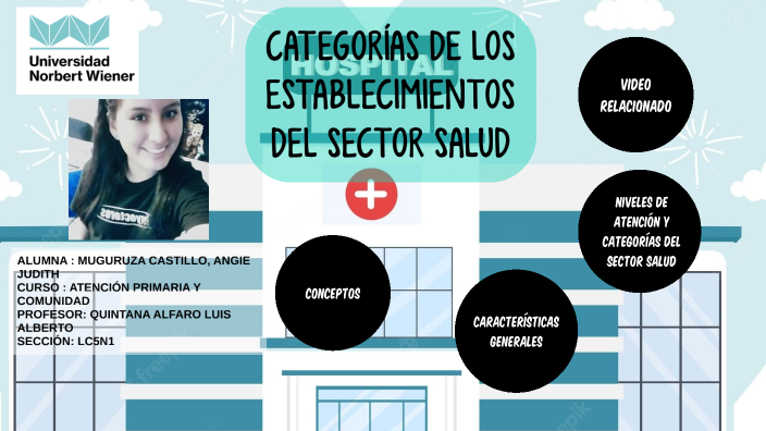 CATEGORÍAS DE LOS ESTABLECIMIENTOS DEL SECTOR SALUD by Angie Judith ...