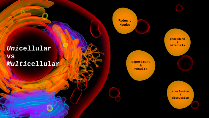 Unicellular vs Multicellular by Noah Perkins-Deal on Prezi