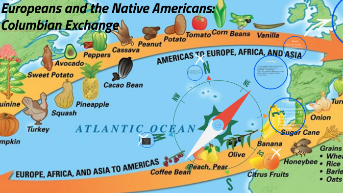 Collision of Culture: Europeans and Native Americans Columbian Exchange ...