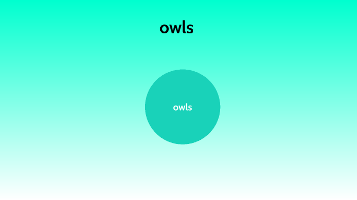 owls by Leah Spasic on Prezi