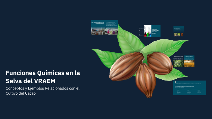 Funciones Químicas en la Selva del VRAEM by FIDEL LAURA LIZARBE on Prezi