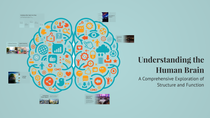 Understanding the Human Brain by maths on Prezi