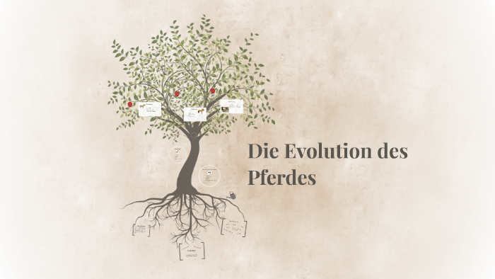Die Evolution des Pferdes by Jana Itzin on Prezi