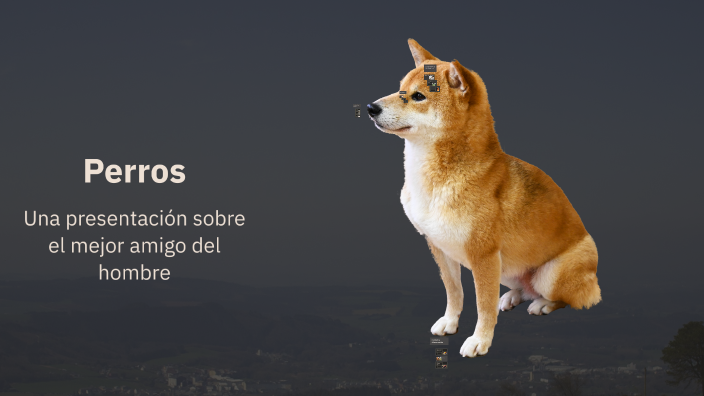 Perros by layla aldin sanchez moreno on Prezi