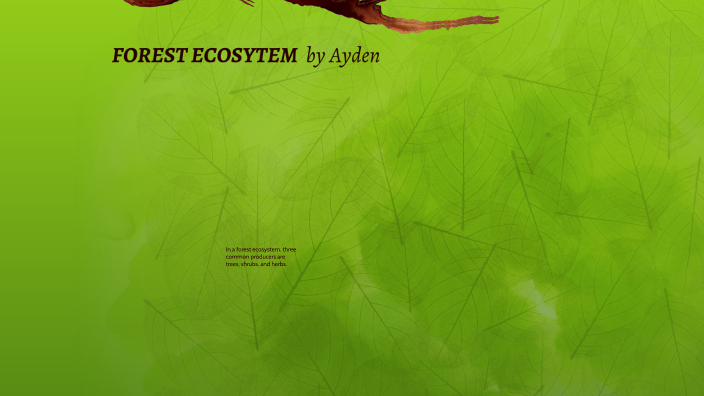 FOREST ECOSYTEM by Ayden by Ayden Kelly on Prezi