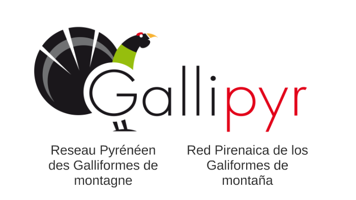 Les galliformes de montagne ? by SEBASTIEN CHAUVIN