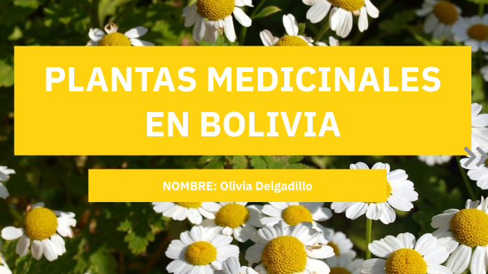 EXAMEN-FINAL by OLIVIA ALEXANDRA DELGADILLO FERRUFINO on Prezi