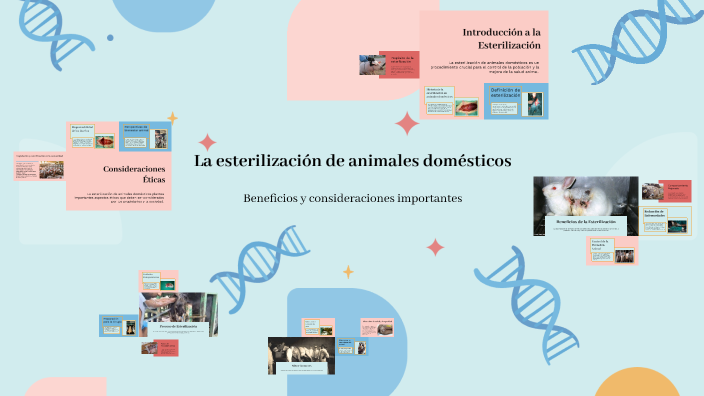 La esterilización de animales domésticos by lisseth chingal on Prezi