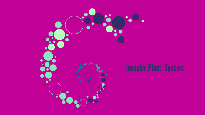 invasive plant species by Sally Lebair on Prezi