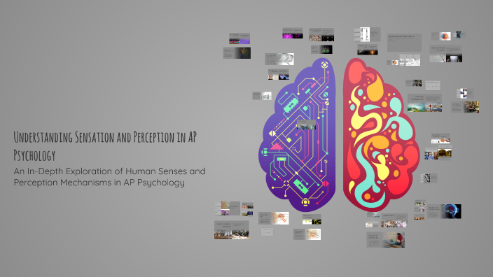 Understanding Sensation and Perception in AP Psychology by Moly Jean ...