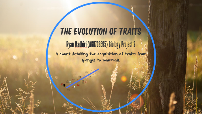 The Evolution of traits by Ryan Madhiri on Prezi