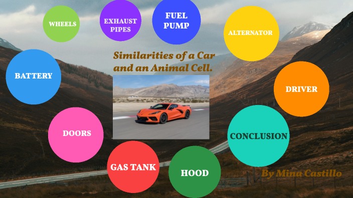 Organelles of an Animal Cell compared to a car by Romina CastilloPalmer ...