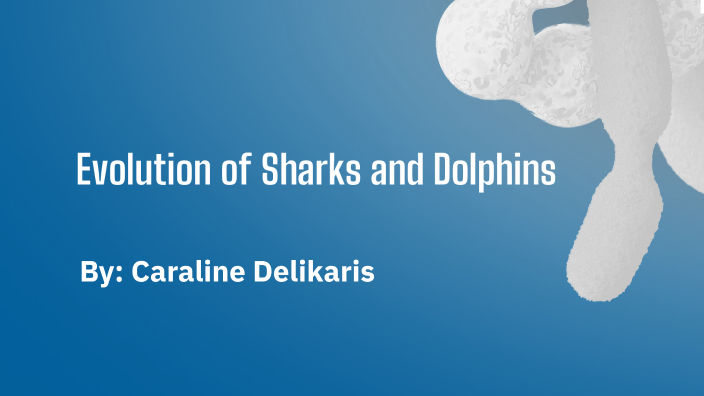 Evolution of Sharks and Dolphins by Caraline Delikaris on Prezi