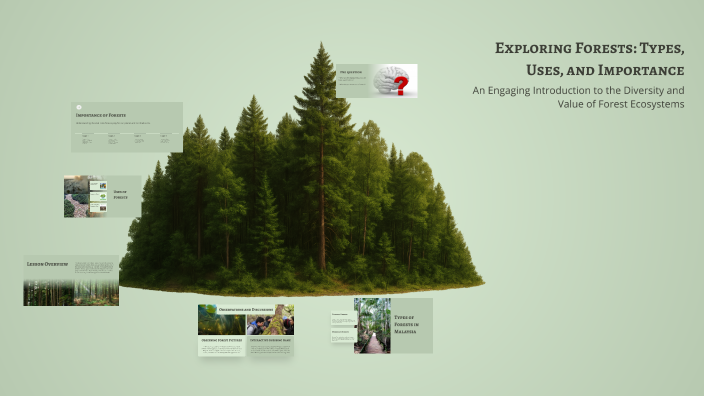 Exploring Forests: Types, Uses, and Importance by Chrismay Tiong on Prezi