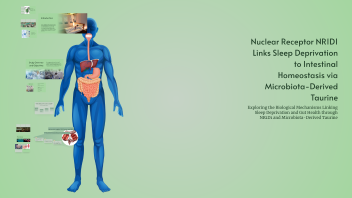 Nuclear Receptor NR1D1 Links Sleep Deprivation to Intestinal ...