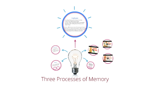 Three Processes of Memory by savana martinez on Prezi