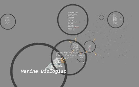 Marine Biologist by David Meriwether on Prezi