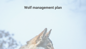 wolf management plan by on Prezi Design