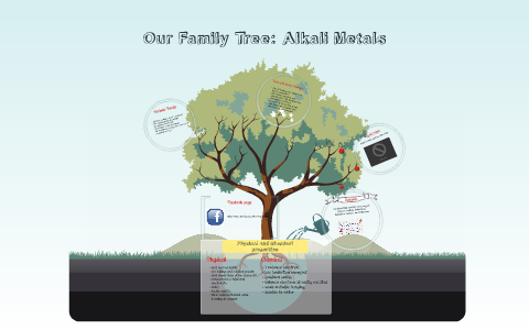Our Family Tree: Alkali Metals by Alyssa Briere on Prezi