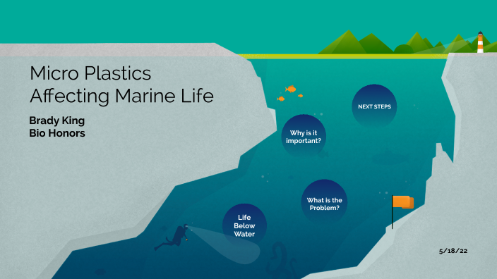 Microplastics Affecting Marine Life by Brady King on Prezi