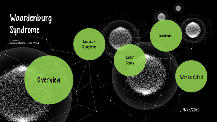Cell Signaling Disease Project: Waardenburg Syndrome by Betul Park on Prezi