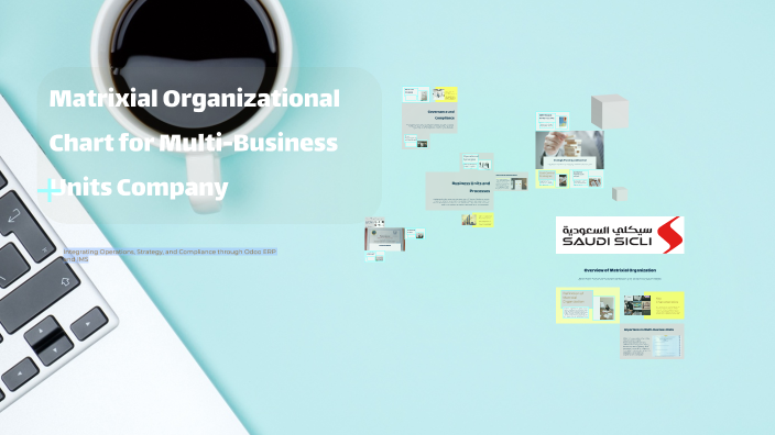 Matrixial Organizational Chart for Multi-Business Units Company by ...