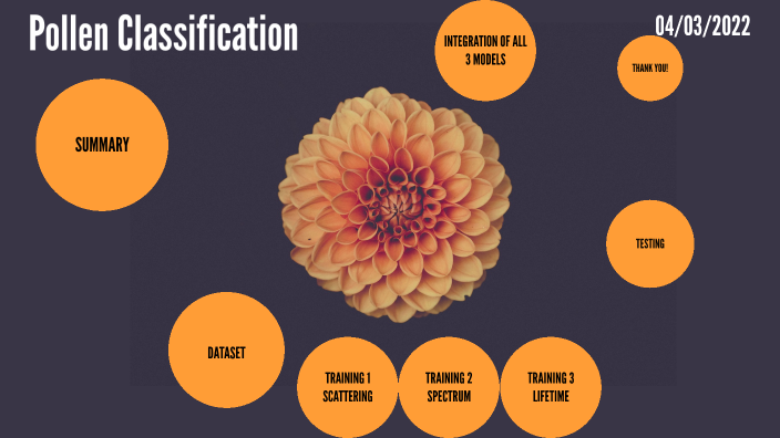 Pollen Classification by Tatjana Cucic on Prezi