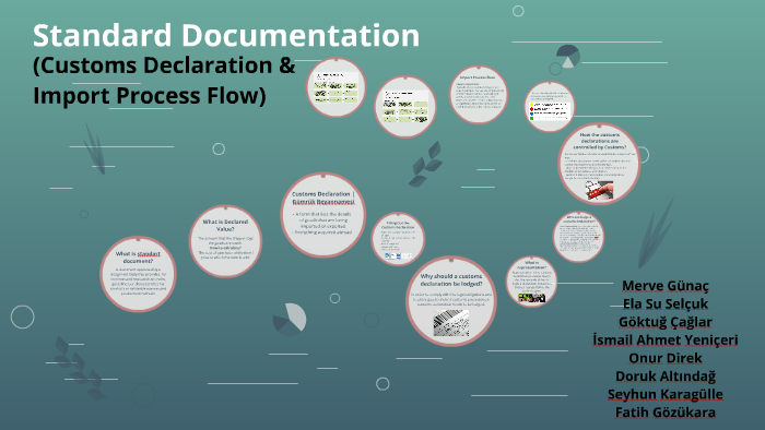 Standard Documentation (Customs Declaration & Import Process Flow) by ...