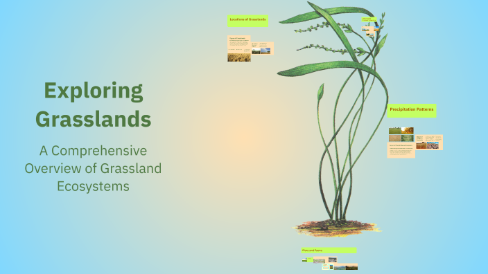 Exploring Grasslands by CHLOE FERNANDEZ on Prezi