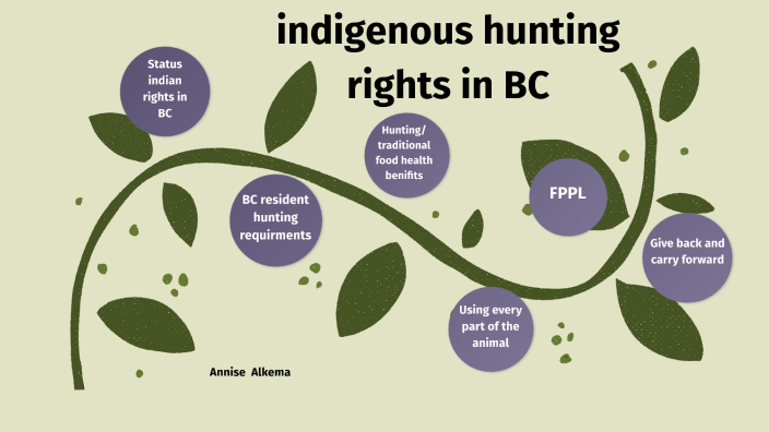 indigenous hunting rights by Annise Alkema on Prezi