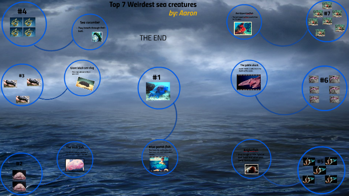 Top 7 Weirdest animals by Aaron Rozario