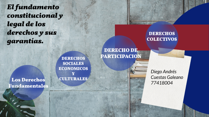 El fundamento constitucional y legal de los derechos y sus garantias by ...