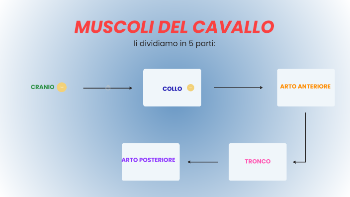 muscoli cavallo by viviana pisoni on Prezi