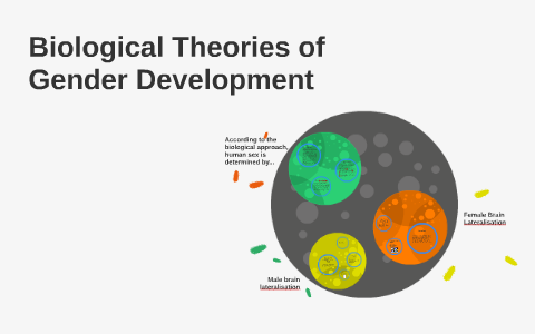Biological Theories of Gender Development by Helen Pine on Prezi