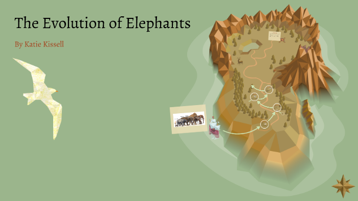 The Evolution of Elephants by albert einstein on Prezi