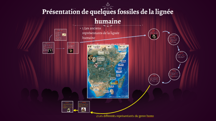 Présentation De Quelques Fossiles De La Lignée Humaine By Jawad Dali On