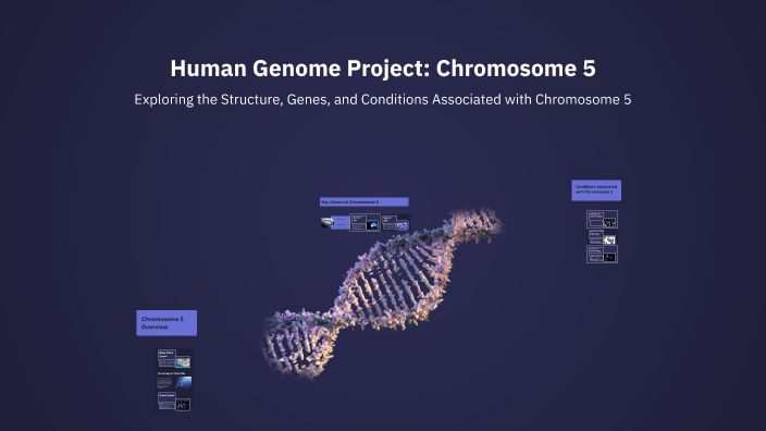 Human Genome Project: Chromosome 5 by Desmond on Prezi