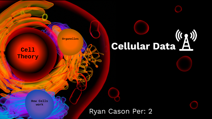 Cell Structure and Function Project by Ryan Cason on Prezi