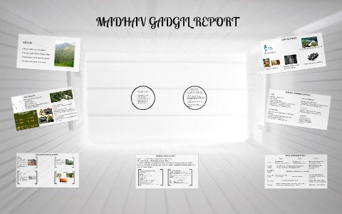 MADHAV GADGIL REPORT by Nikhil G N on Prezi