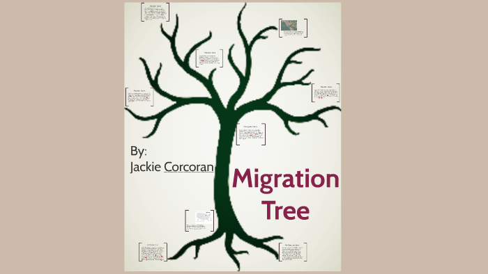 Family Tree by Jackie Corcoran on Prezi