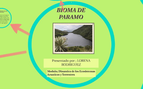 BIOMA DE PARAMO by lorena rodriguez casallas on Prezi