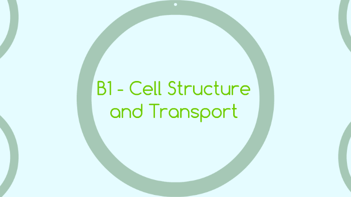 B1 - Cell Structure and Transport by aaa pvz on Prezi