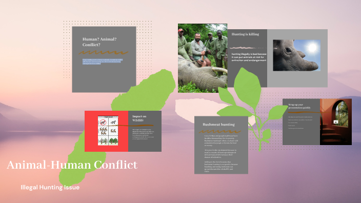 Animal-Human Conflict by Lukas Vamvlas on Prezi