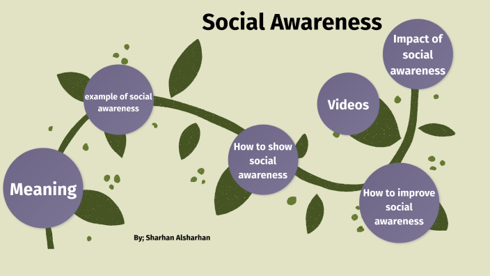 Social Awareness by s lol on Prezi